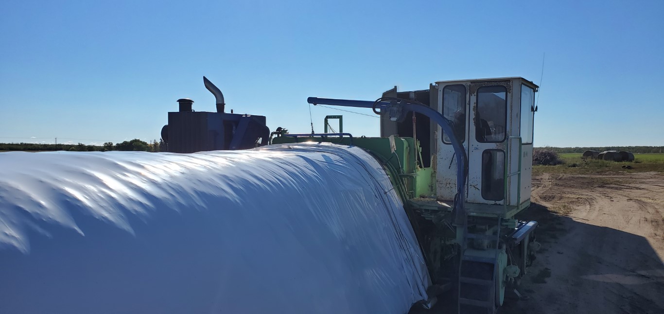 Bagging - Isaac Kwik Cut