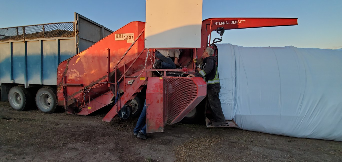 Bagging - Isaac Kwik Cut